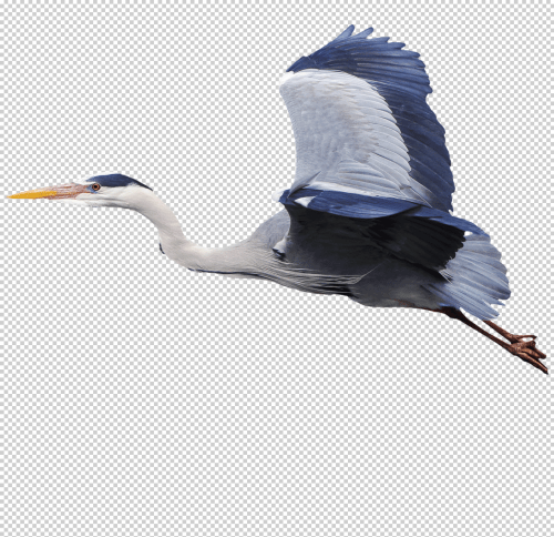 grue en vol flying PNG image, free download - pngzoom